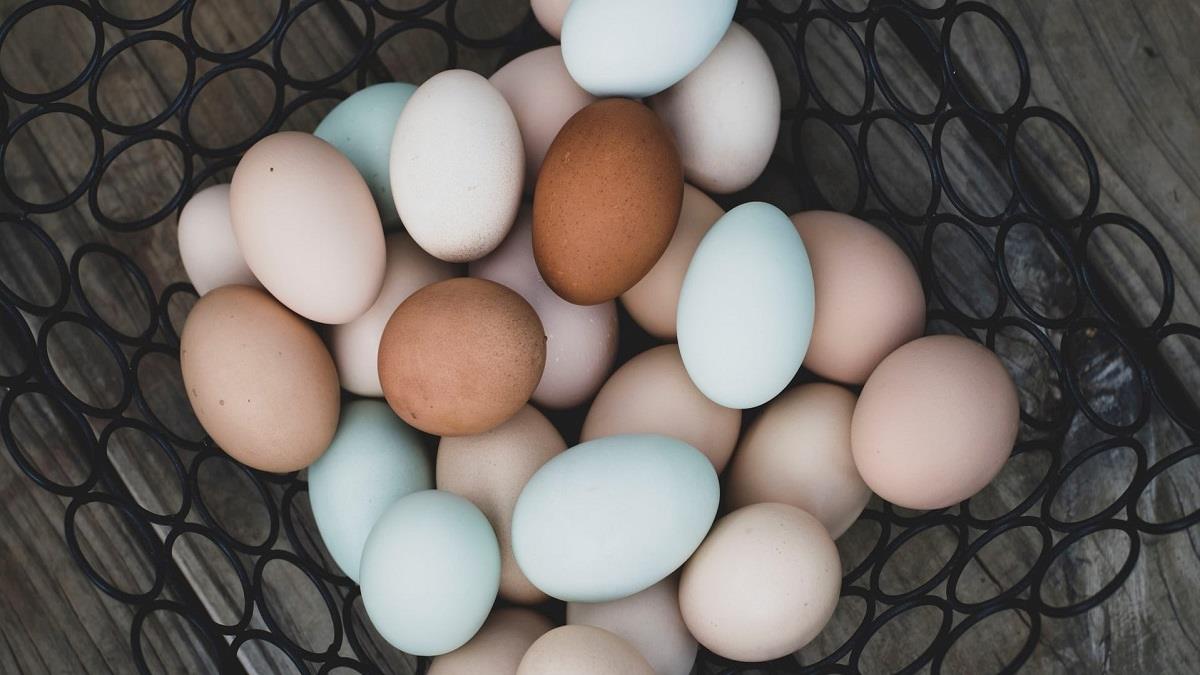 Grupo CAC prevê ultrapassar 90 milhões de euros em 2021 | Press Point